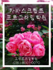 수원자바스크립트학원 자바스크립트 프로그래밍 과정 커리큘럼 소개 수원 안양 의왕 군포 용인 화성 영통 동탄